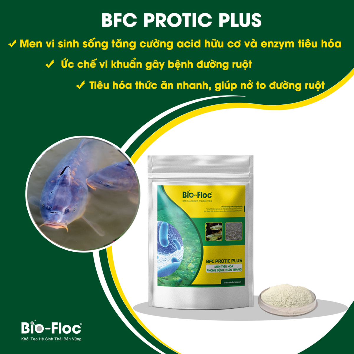 Nắng đầu mùa và những lưu ý cho người nuôi cá miền Bắc - Biofloc